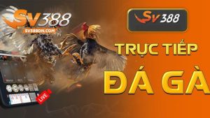 Đăng nhập SV388 - Trải nghiệm cược đỉnh cao trong vài giây