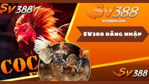 Đăng nhập SV388 - Trải nghiệm cược đỉnh cao trong vài giây