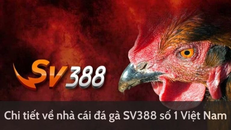 SV388 - Trang Đăng Nhập Nhà Cái SV 388 Đá Gà Đẳng Cấp